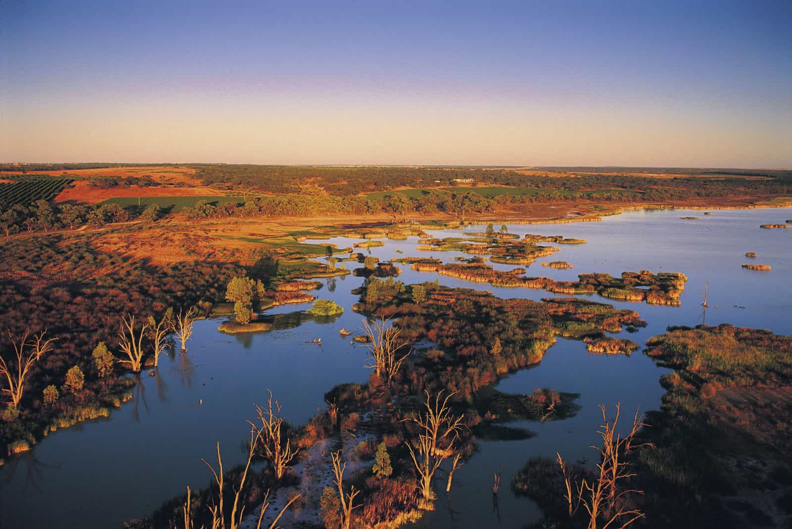 Riverland region | South Australia