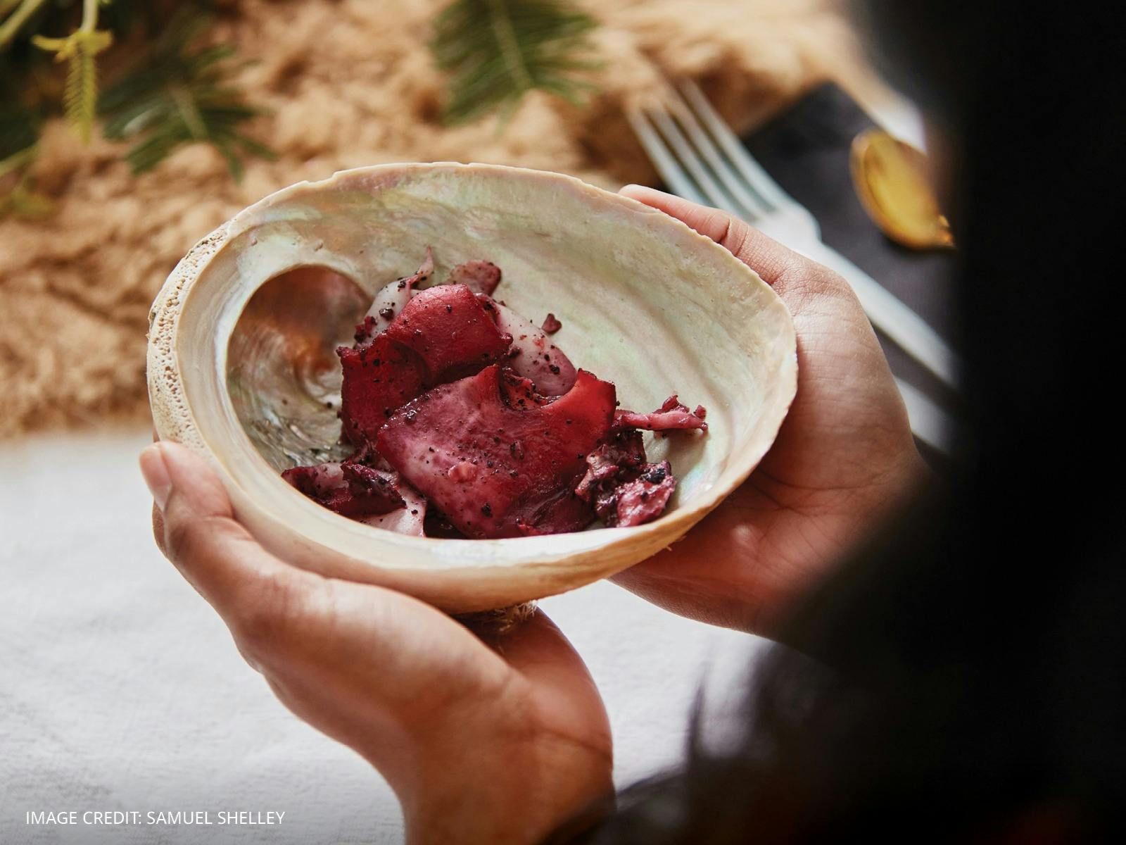 Taste of Country: Palawa Fine Dining & Cultural Tour - Beaker Street ...
