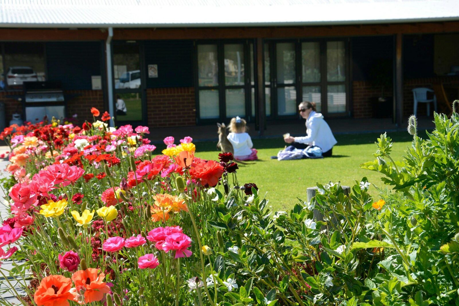 Gingin Visitor Centre | Information Services | Gingin | Gingin area ...